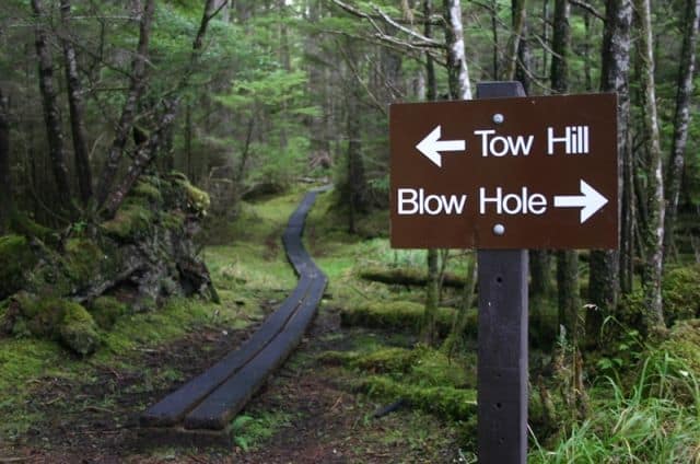 Tow Hill Hiking Trail - Haida Gwaii parks, trails and places