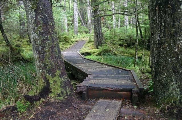 Tow Hill Hiking Trail - Haida Gwaii parks, trails and places