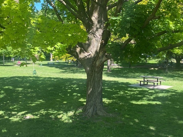 Ramsden Park - Toronto - Greater Toronto Region - Ontario - Canada ...