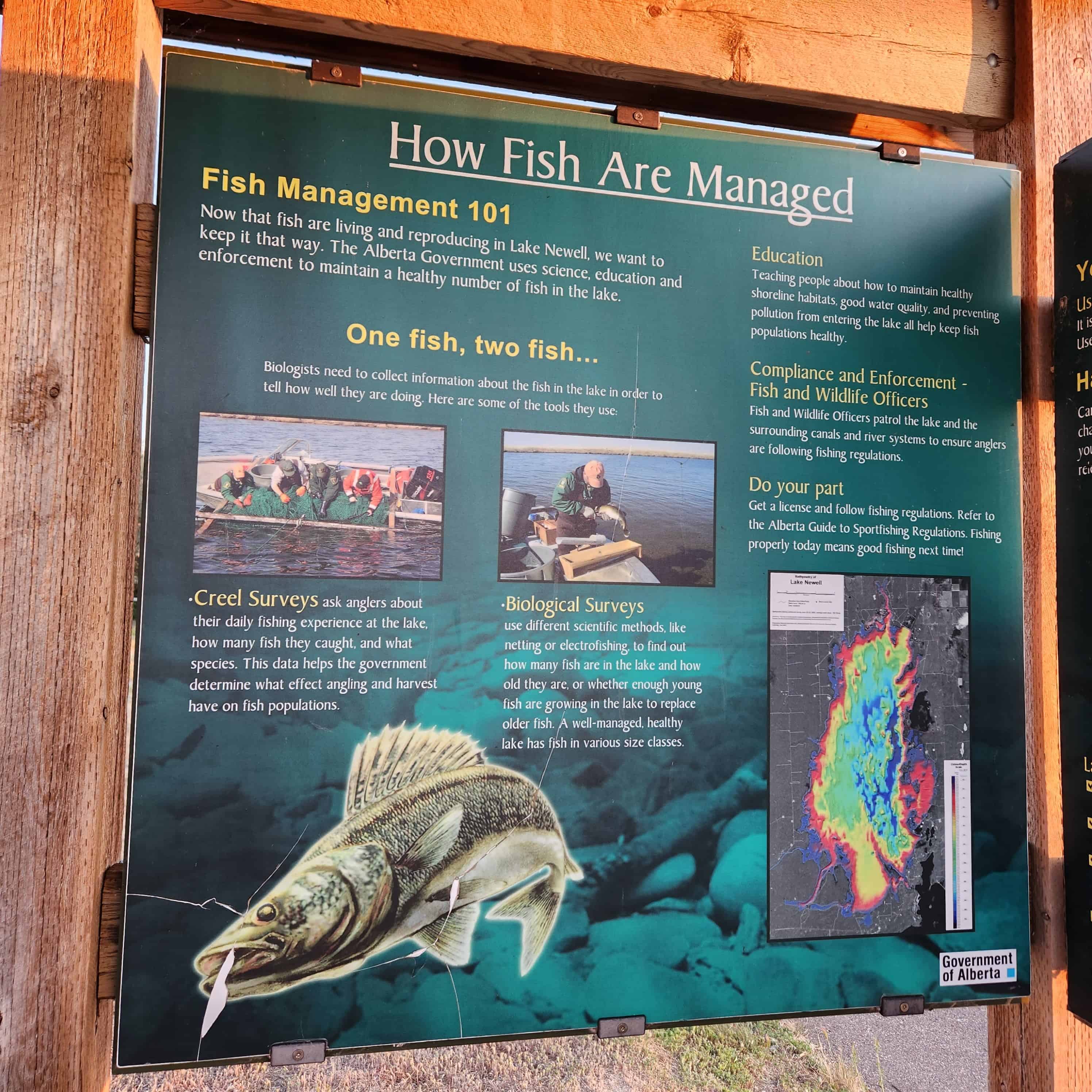 Andrea Horning - Biologists Tracking the Fishery on Lake Newell